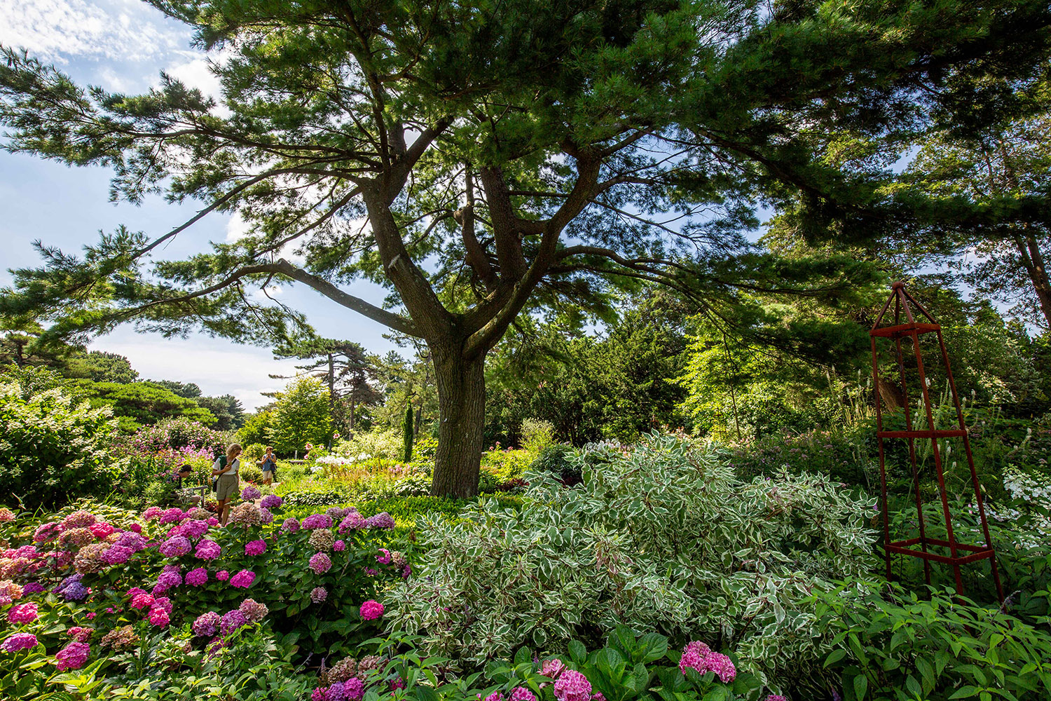 What's Beautiful Now: After the Rain - Plant Talk