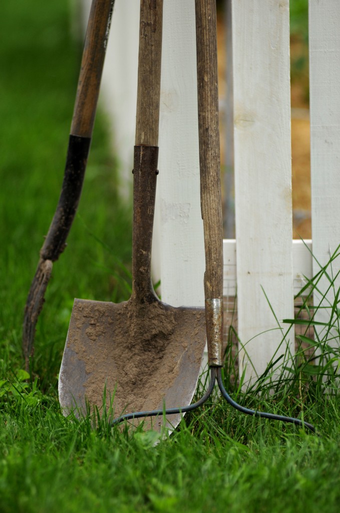 Time for End-of-Season Cleanup - Plant Talk