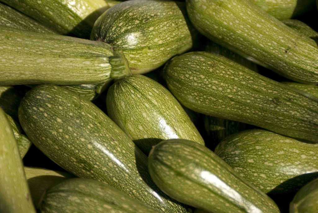 What To Do With All Those Zukes - Plant Talk