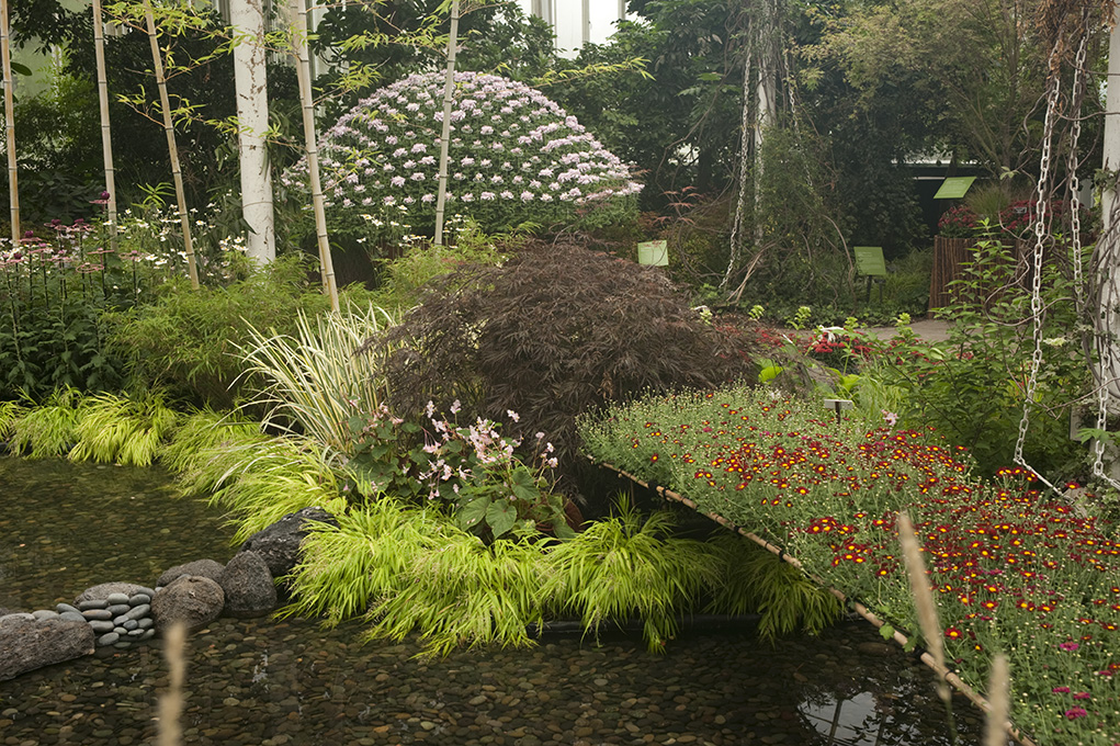 How Do they Do That?: Moving Ozukuri - Plant Talk