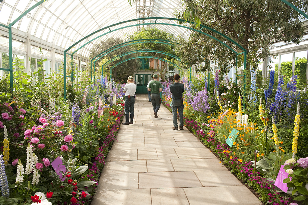 Morning Eye Candy: Picture Perfect – Plant Talk