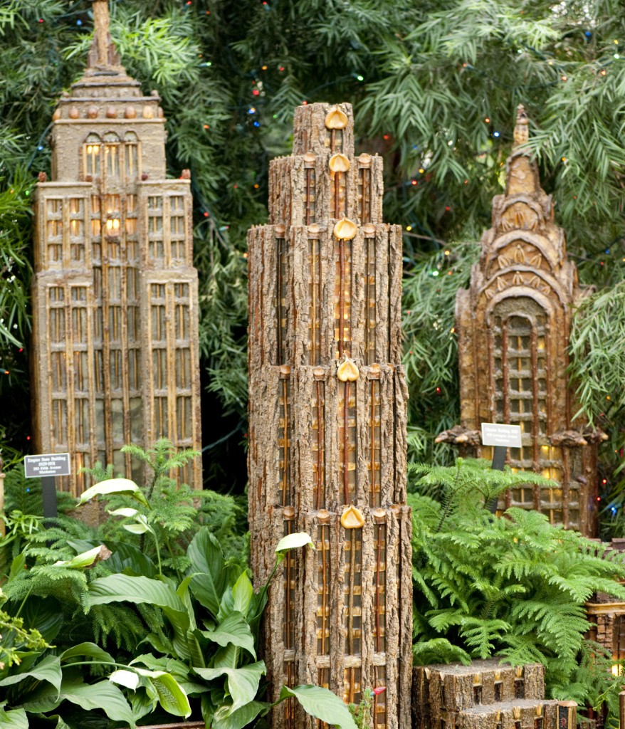 This Weekend: A Cheerful Winter Solstice – Plant Talk