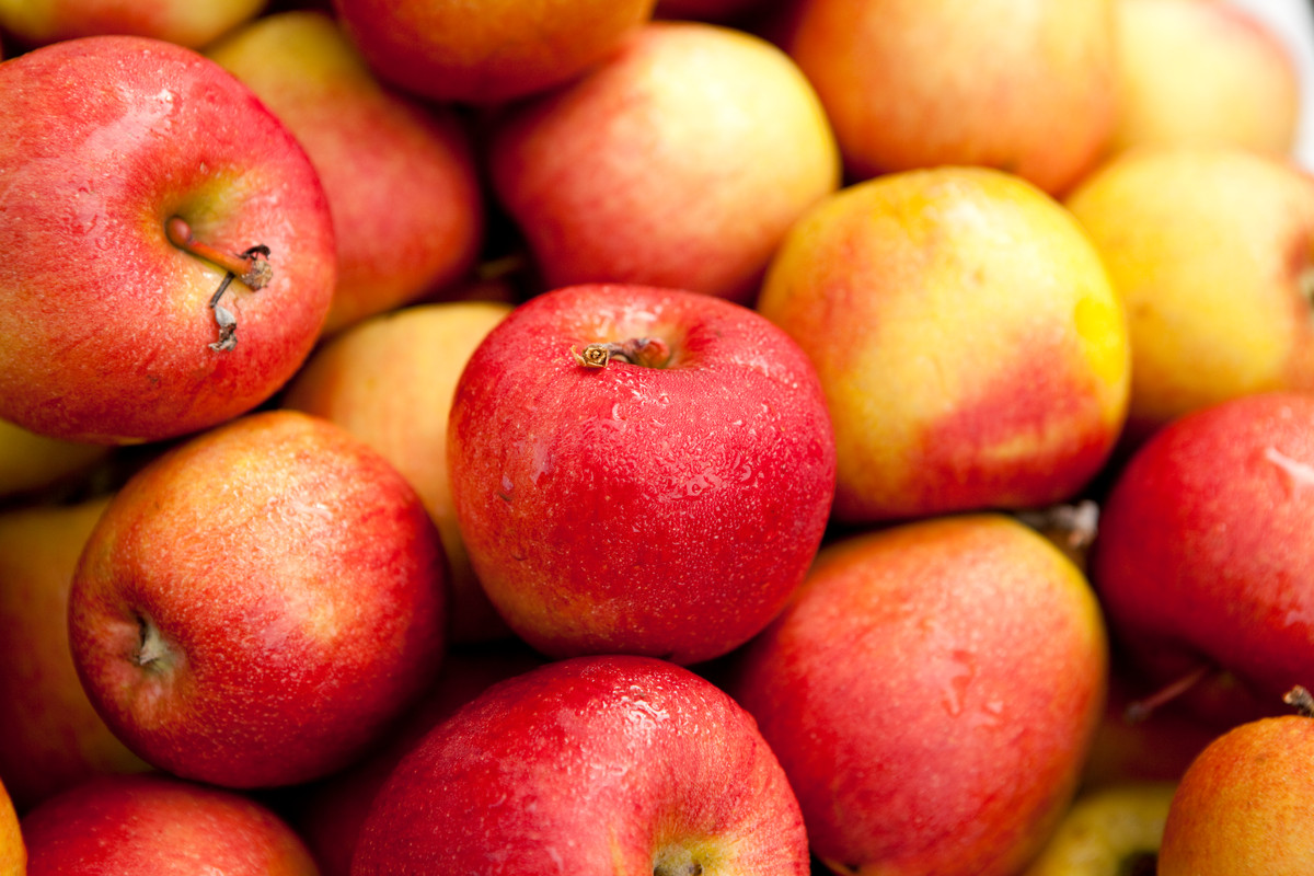 This Week at the Greenmarket: Big Apples in the Big Apple - Plant Talk