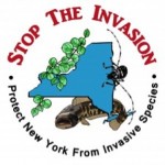 Invasive Species: What’s in Your Neighborhood? - Plant Talk