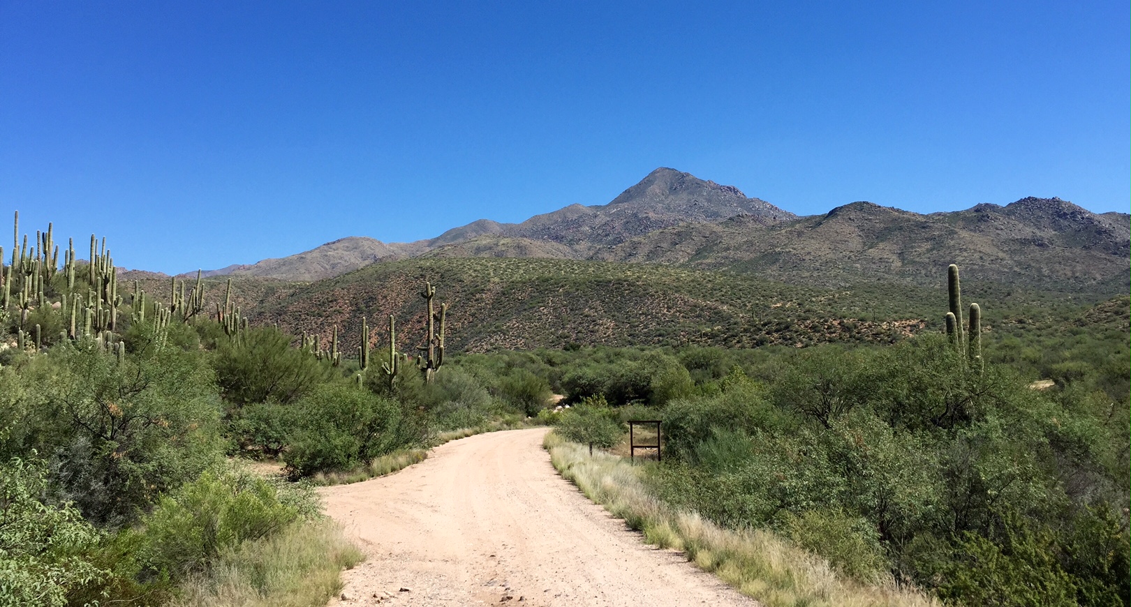 Does Mexico Have Deserts