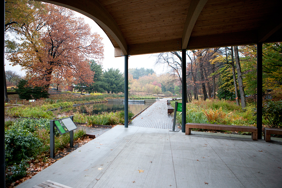 Speaking for the Trees - Plant Talk