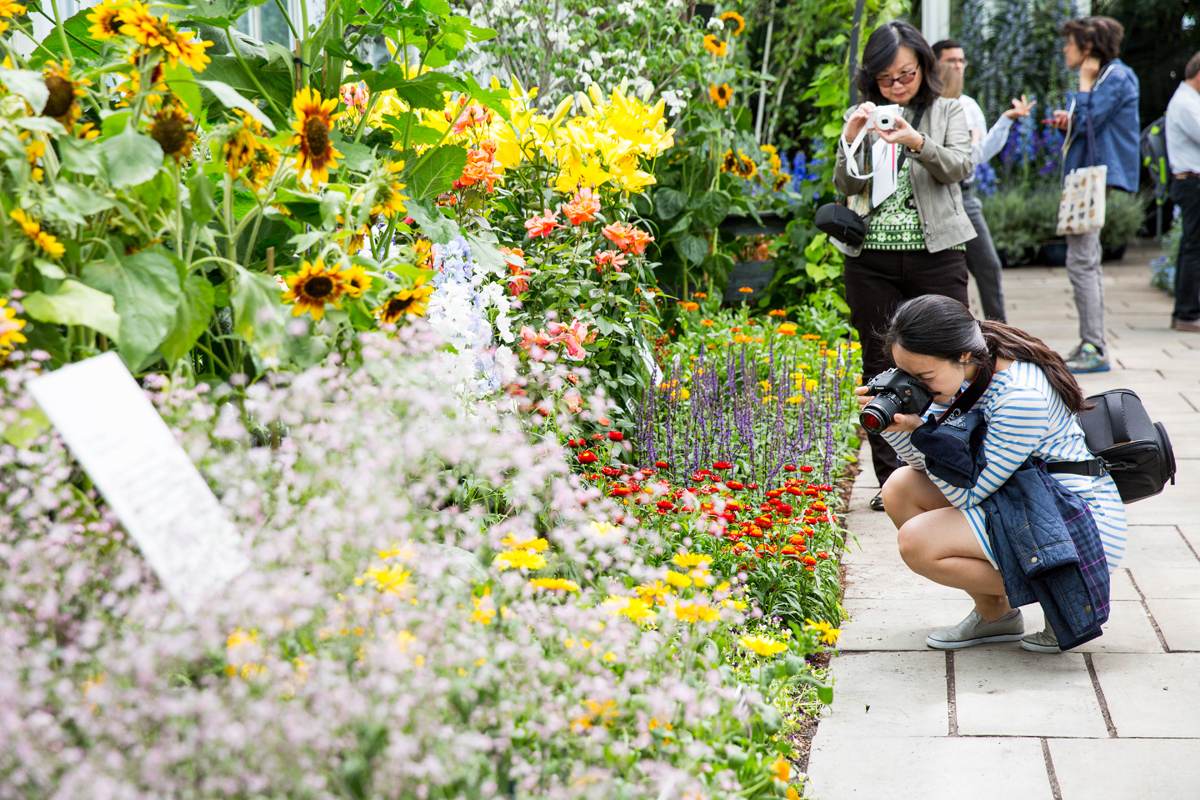 What's Beautiful Now: Gardens on Canvas - Plant Talk