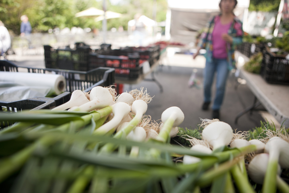 Fresh Summer Produce Returns with the NYBG Greenmarket - Plant Talk