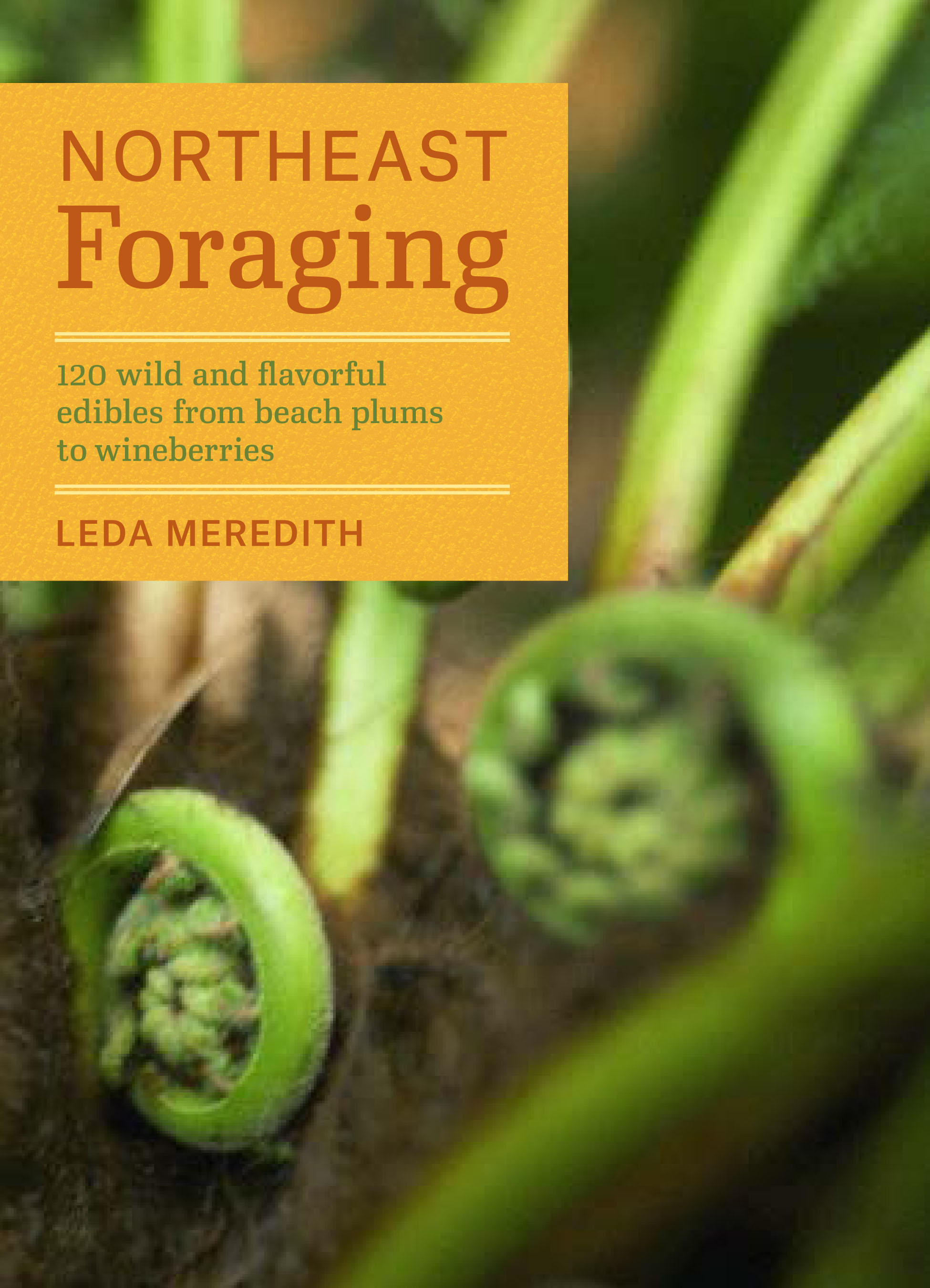 A Wild Feast: Books for the Beginning Forager - Plant Talk