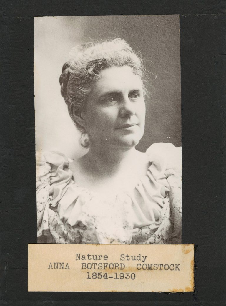 Anna Botsford Comstock: Trailblazer in Nature Education - Plant Talk