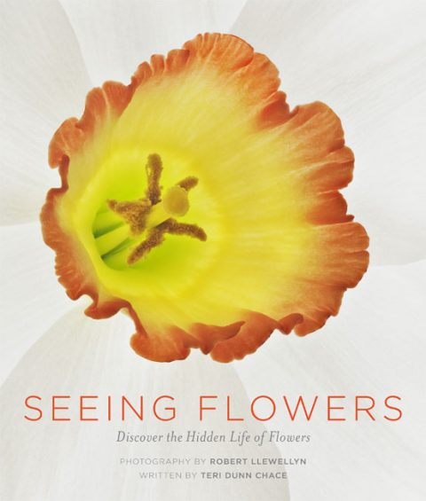 Seeing Trees, Flowers, and Seeds - Plant Talk