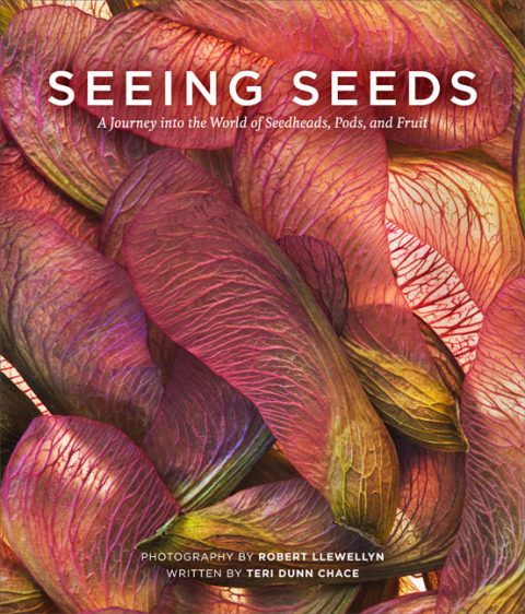 Seeing Trees, Flowers, and Seeds - Plant Talk