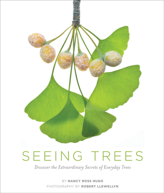 Seeing Trees, Flowers, and Seeds - Plant Talk