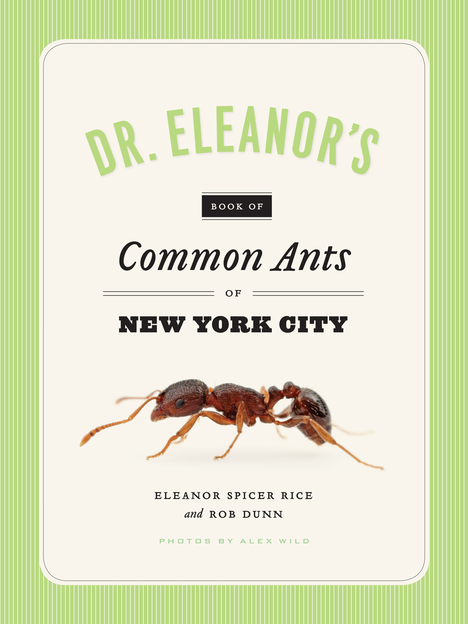 Dr. Eleanor's Book of Common Ants - Plant Talk