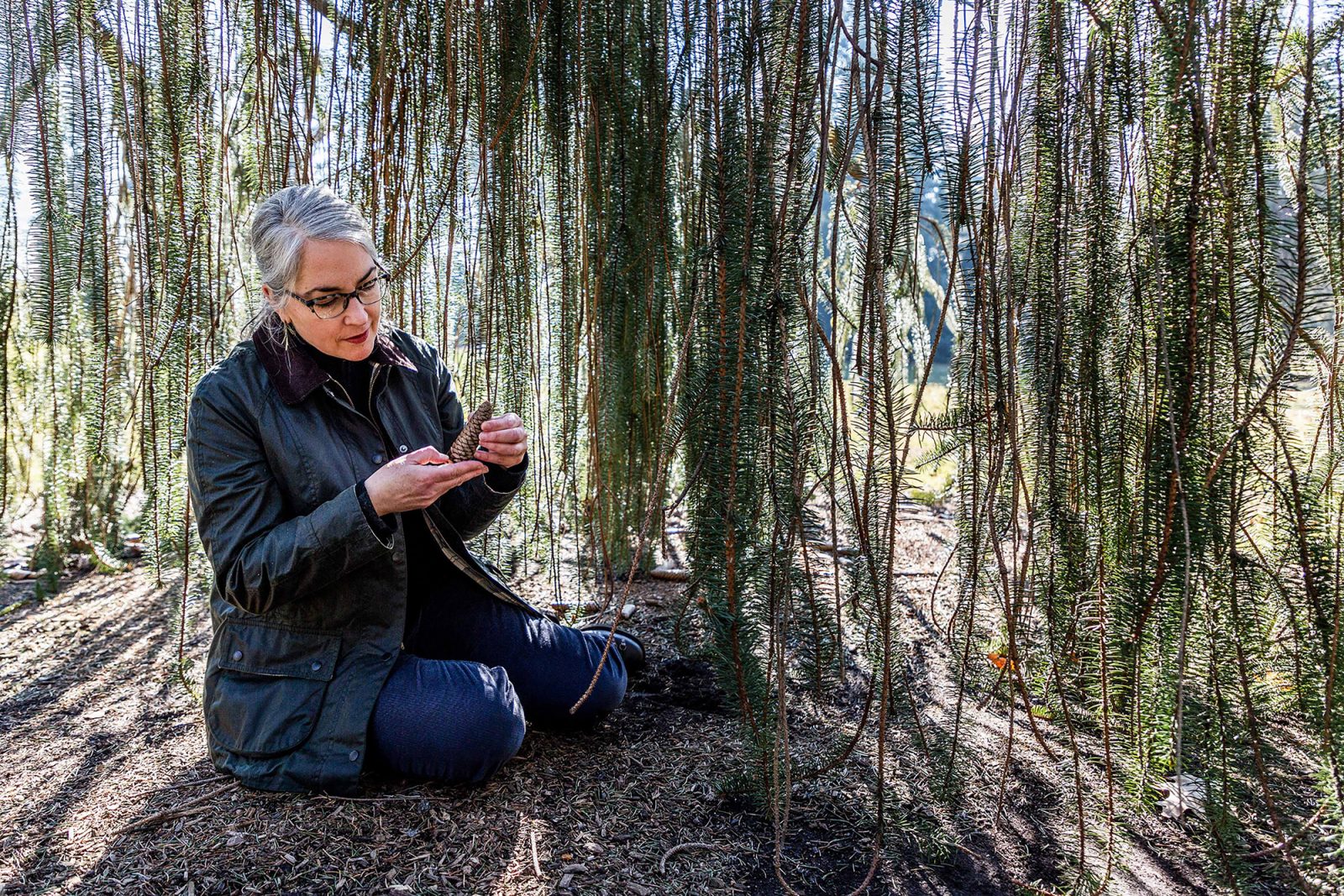 #plantlove: Kristine Paulus, Plant Records Manager - Plant Talk