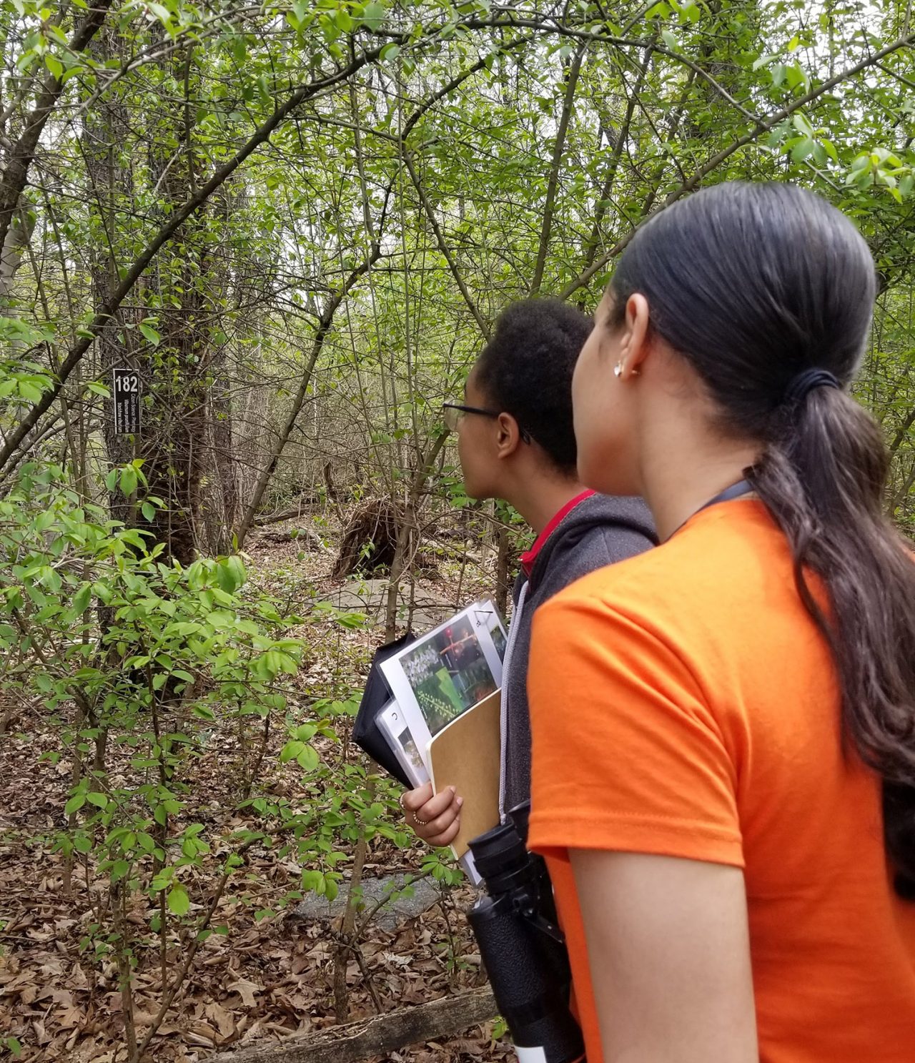 Bronx High School Students become Naturalists at NYBG - Plant Talk