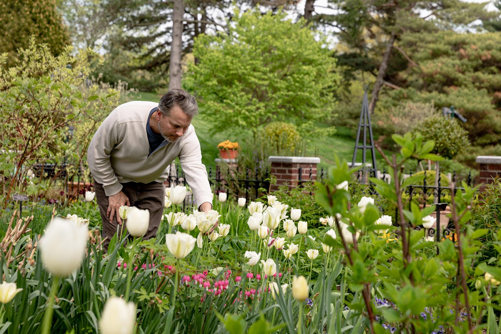 Daryl Beyers Archives - Plant Talk