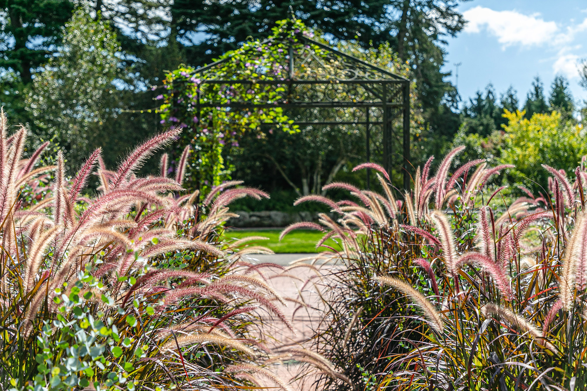 What's Beautiful Now: Inspirations in the Home Gardening Center - Plant ...