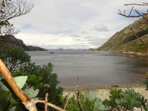 Isla Hermite Archives - Science Talk Archive