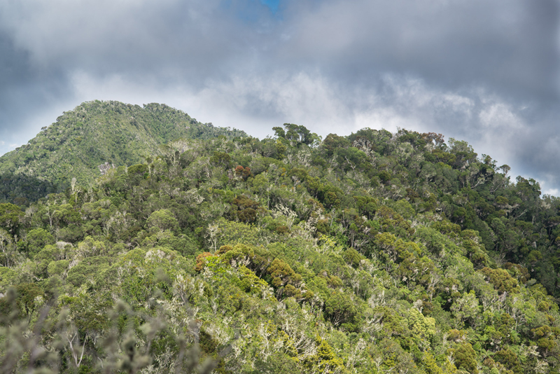 Cuban Mountains