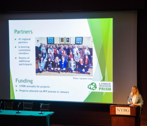 Is Restoration a Solution for the Invasive Species Problem? - Science ...