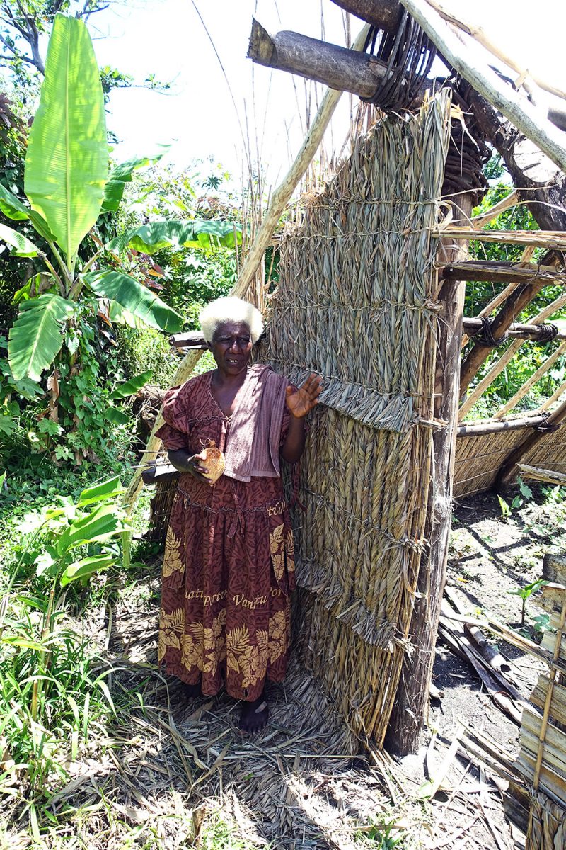 Traditional Shelters, Cyclone Houses, and the Temptations of Modern ...