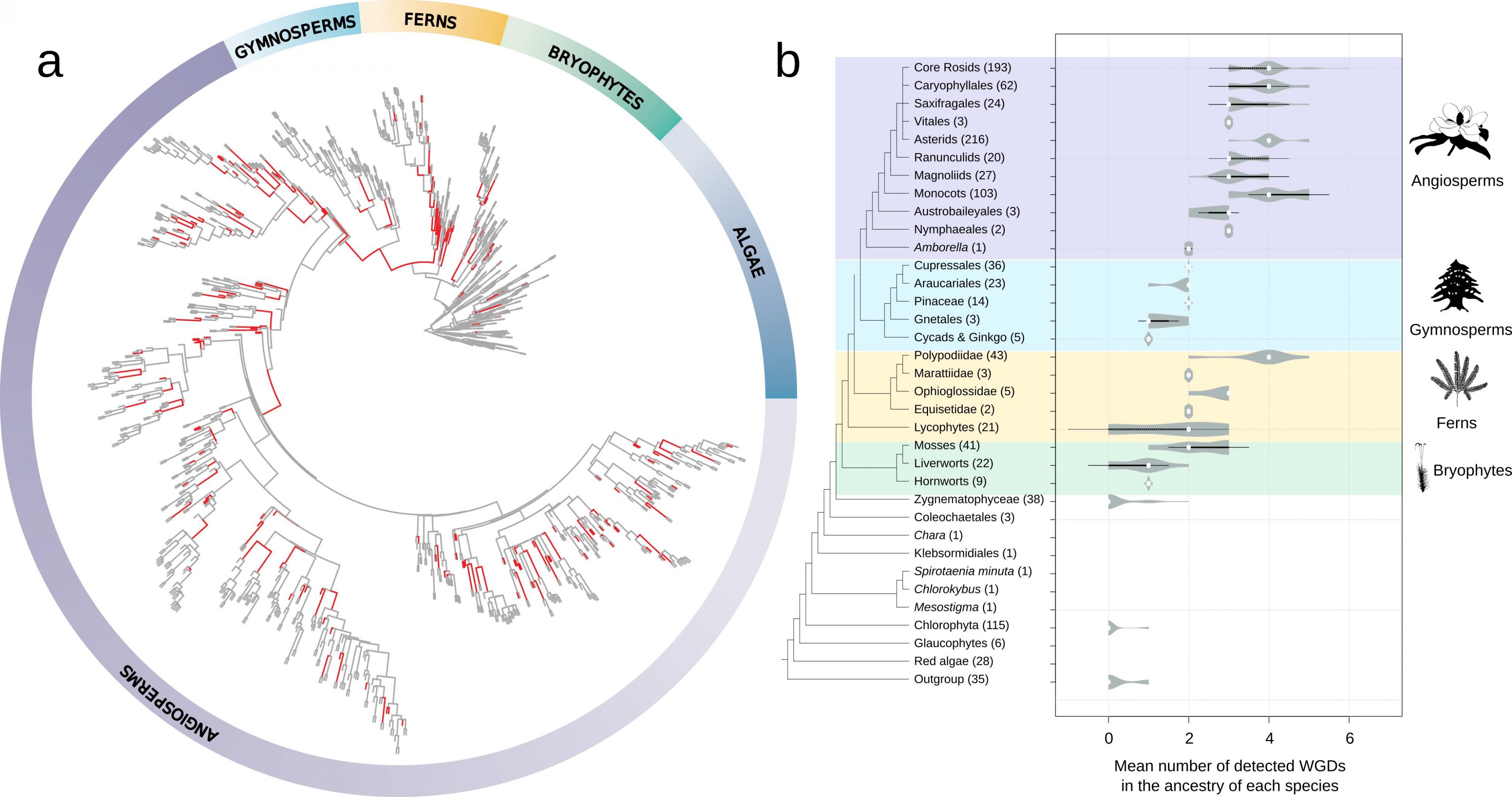 One Thousand Plant Genomes: Understanding One Billion Years of ...