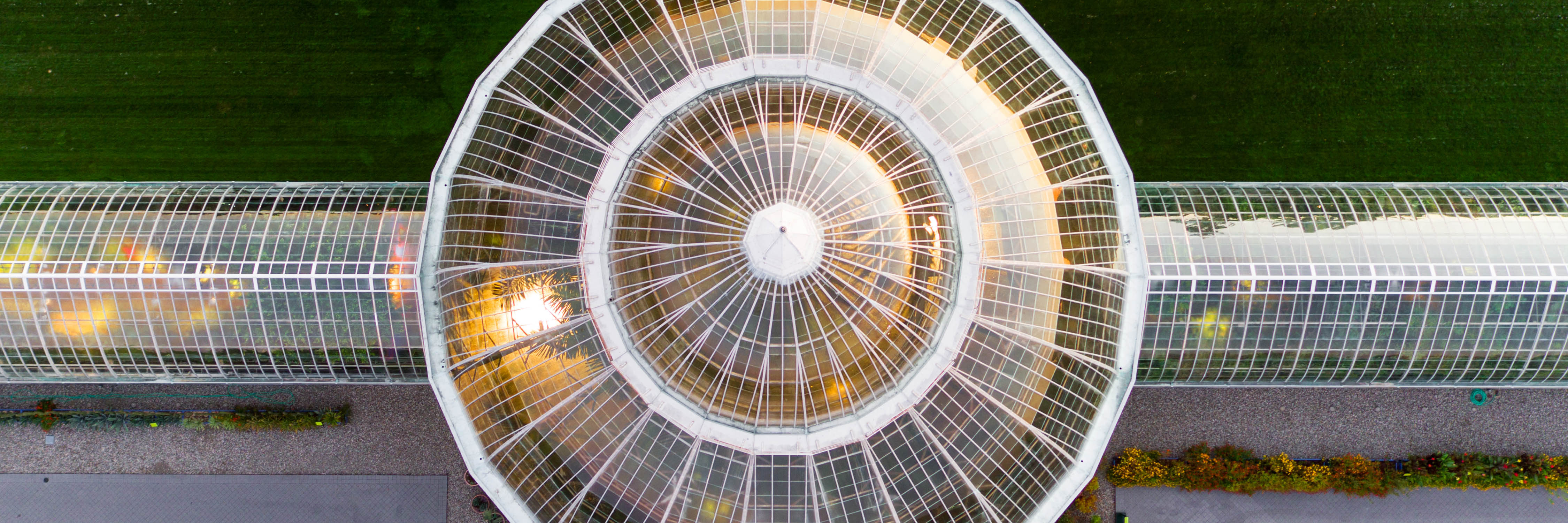 About Jennifer Bernstein | New York Botanical Garden