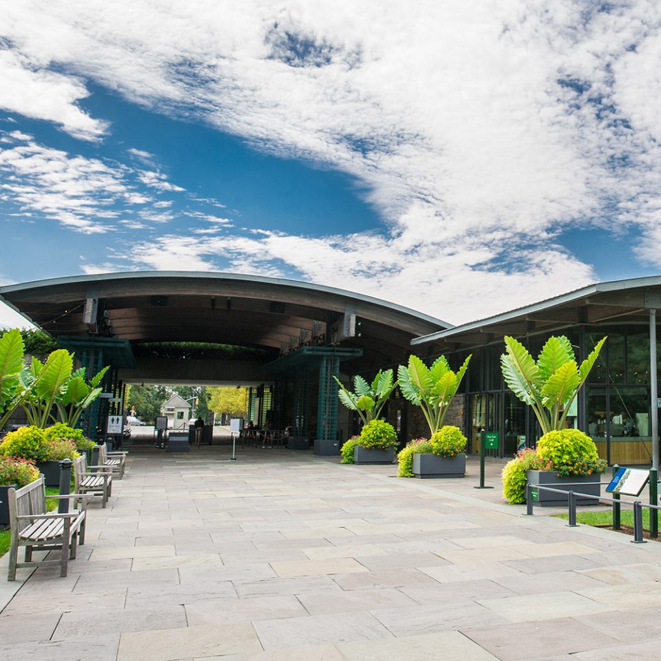 Visit » New York Botanical Garden