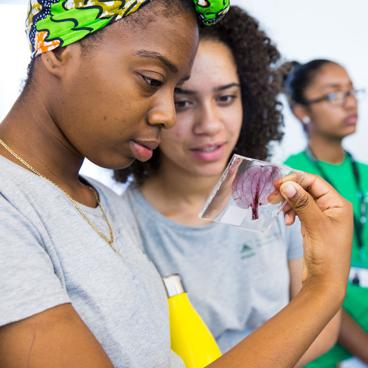 Work With Us » New York Botanical Garden