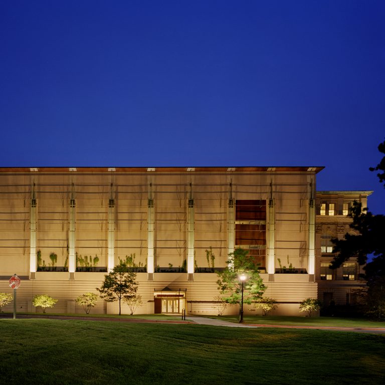 What in the World is a Herbarium? | New York Botanical Garden