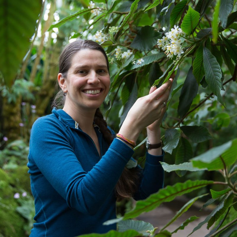 Meet the Scientists | New York Botanical Garden