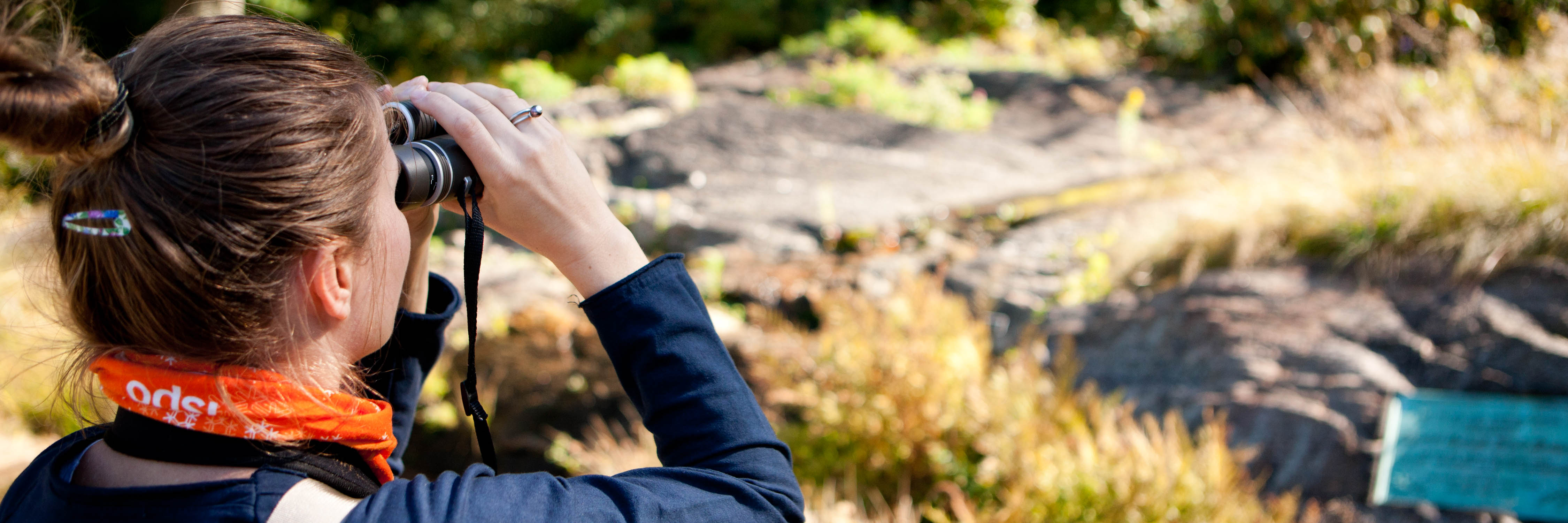 Bird Tours with NYC Bird Alliance | New York Botanical Garden