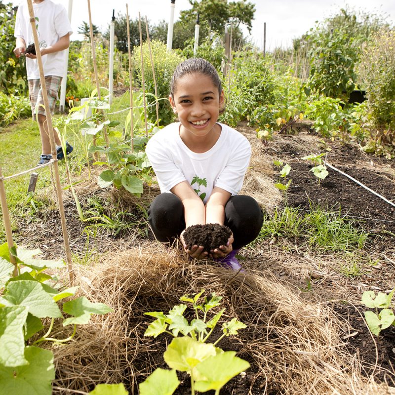 Children's Gardening Program | New York Botanical Garden