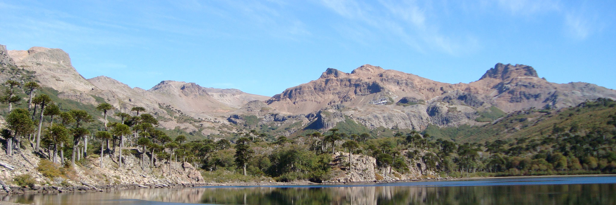 Lichen Biodiversity of the Mid-Atlantic Coastal Plain | New York ...