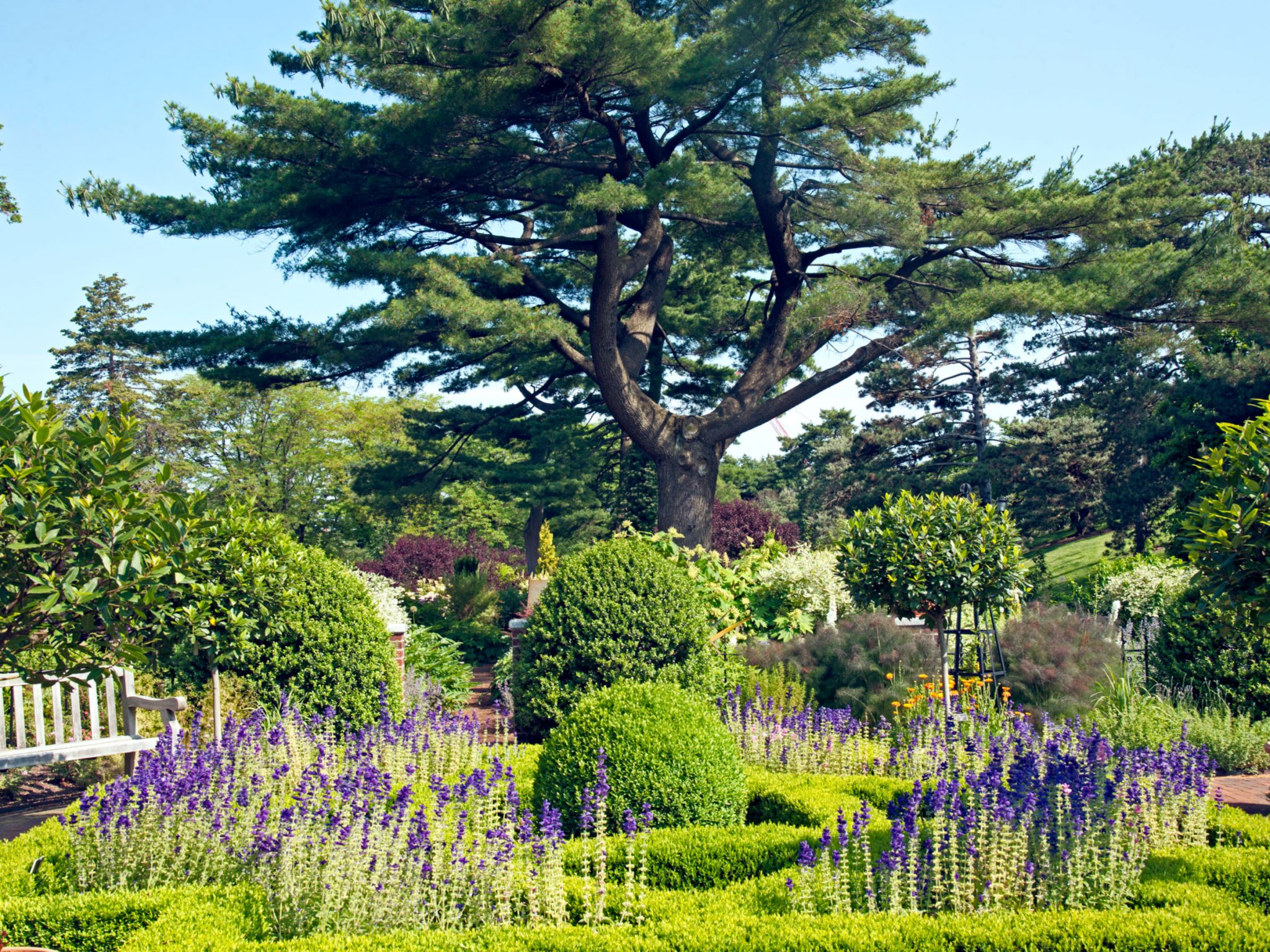 About | New York Botanical Garden