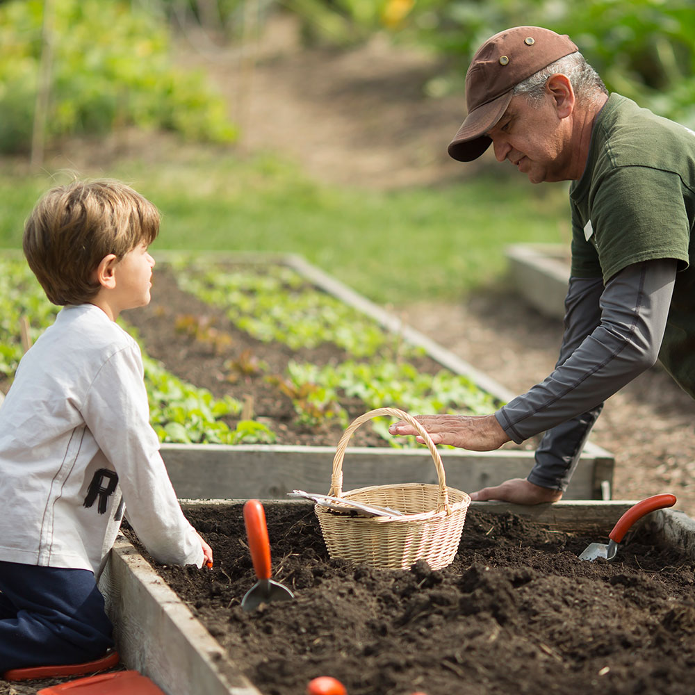 School Gardening 101 | New York Botanical Garden