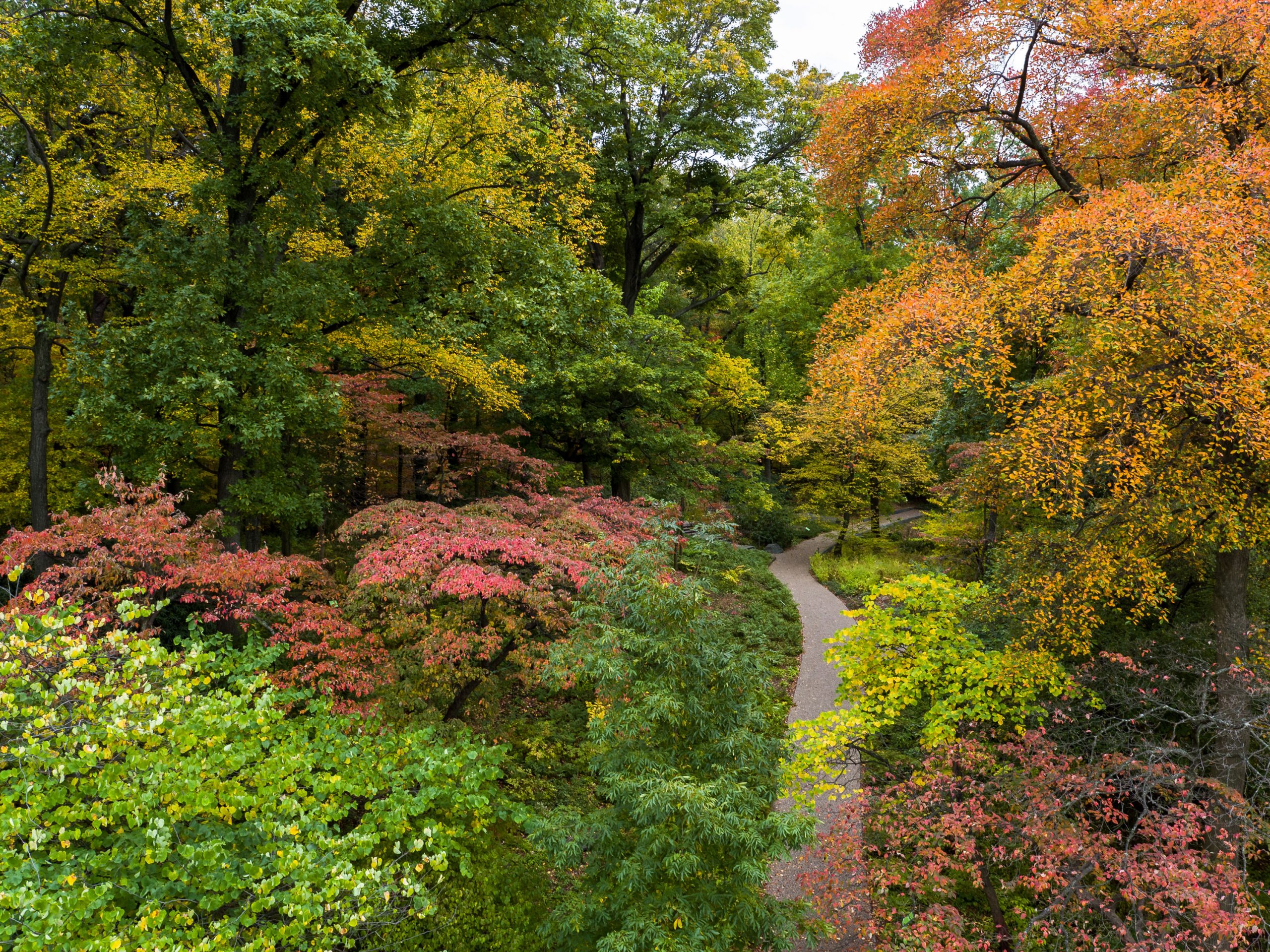 Native Plant Garden » New York Botanical Garden