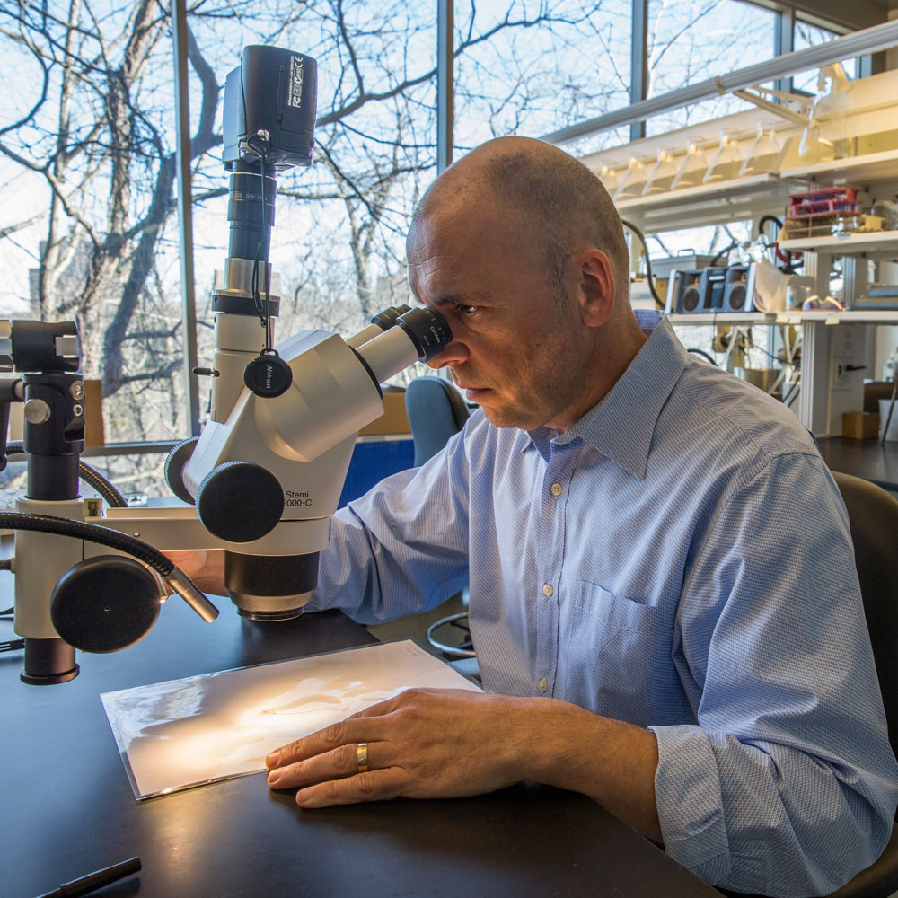 Meet the Scientists | New York Botanical Garden