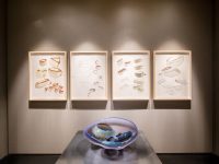 CHIHULY Exhibition | New York Botanical Garden