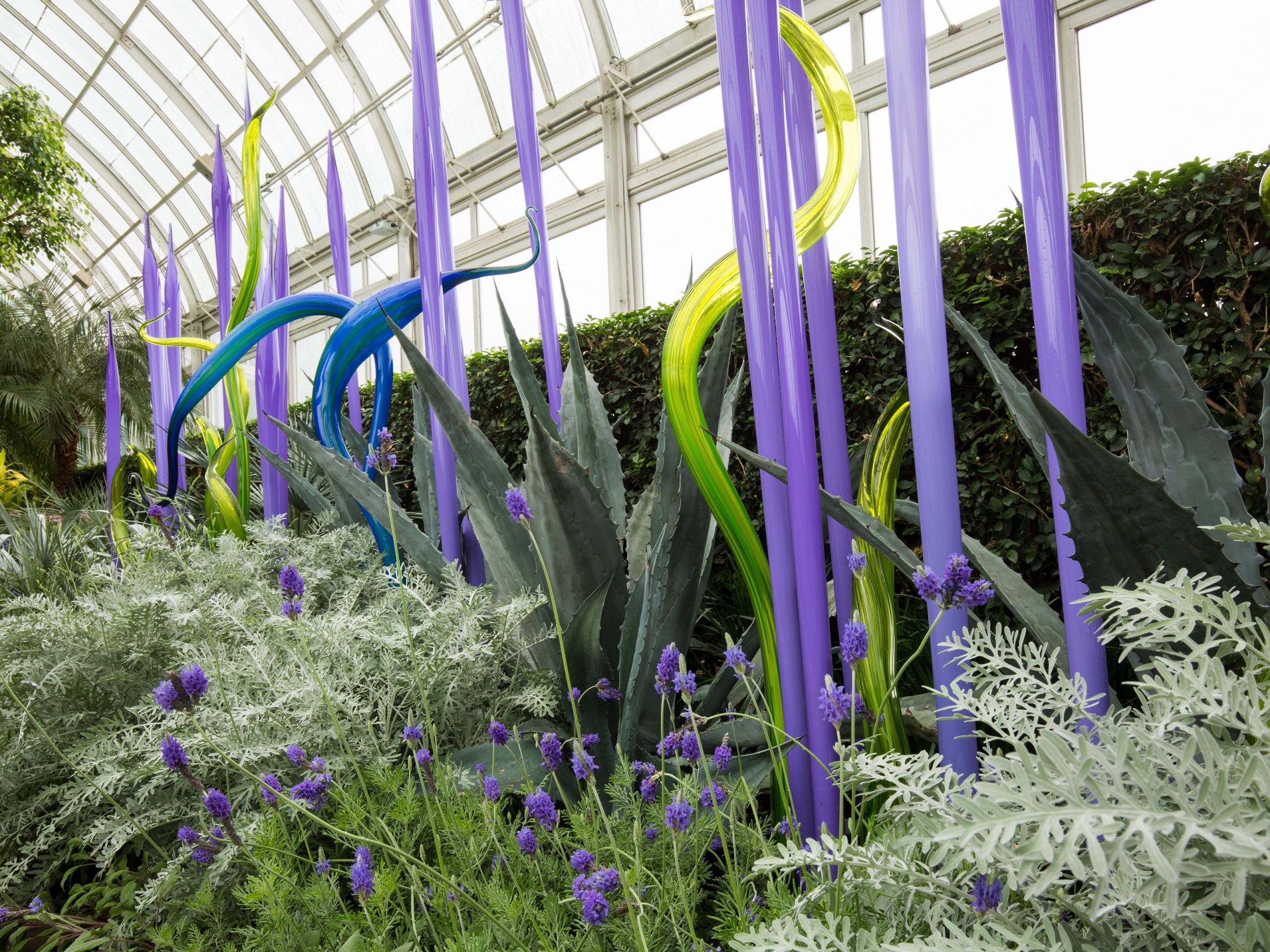 CHIHULY Exhibition » New York Botanical Garden