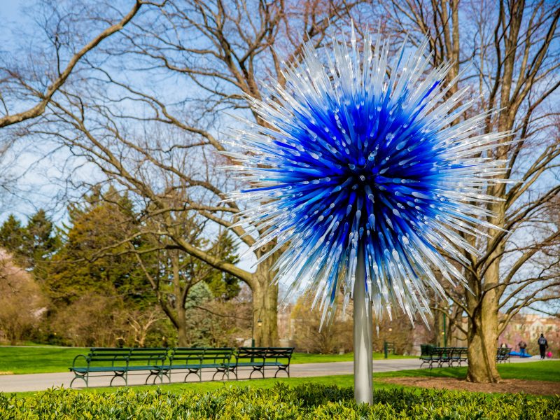 CHIHULY Exhibition | New York Botanical Garden
