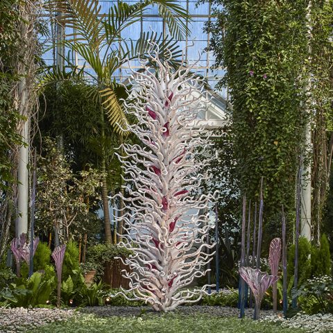 CHIHULY Exhibition | New York Botanical Garden