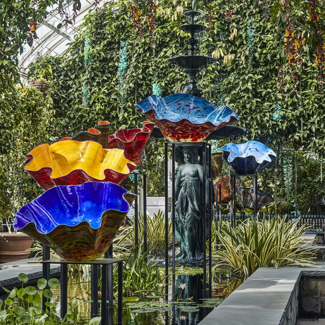 CHIHULY Nights | New York Botanical Garden