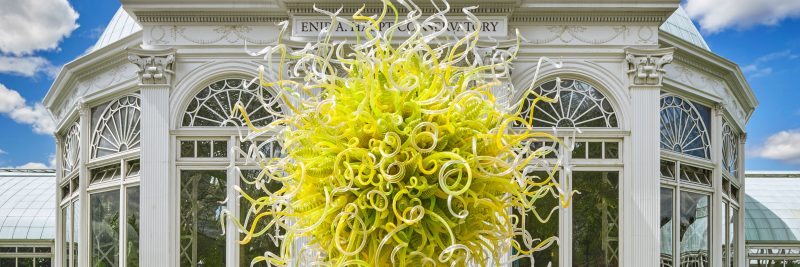 CHIHULY Exhibition | New York Botanical Garden