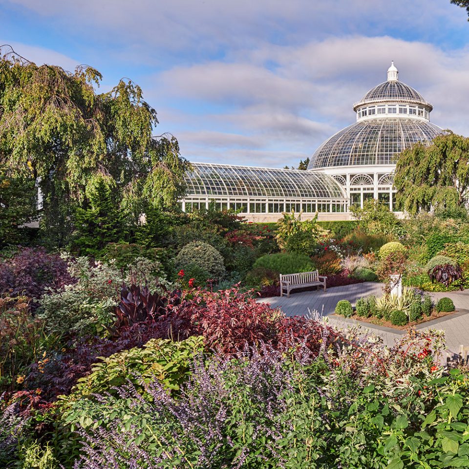 Collections & Resources | New York Botanical Garden