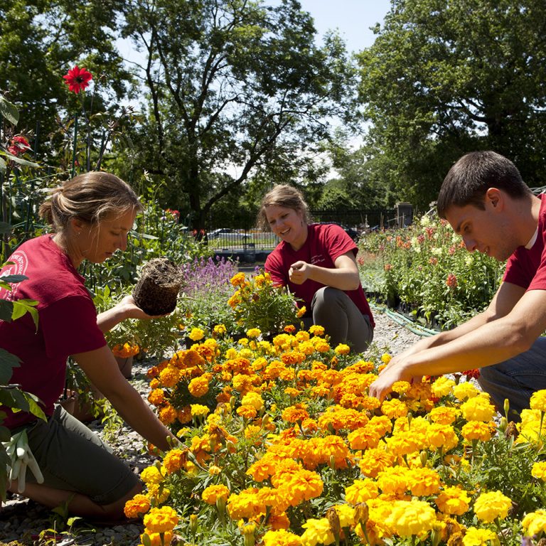 School of Professional Horticulture | New York Botanical Garden