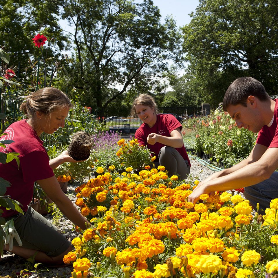 School of Professional Horticulture | New York Botanical Garden
