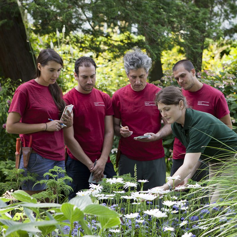 School of Professional Horticulture | New York Botanical Garden