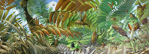 Dennis Wm. Stevenson | New York Botanical Garden